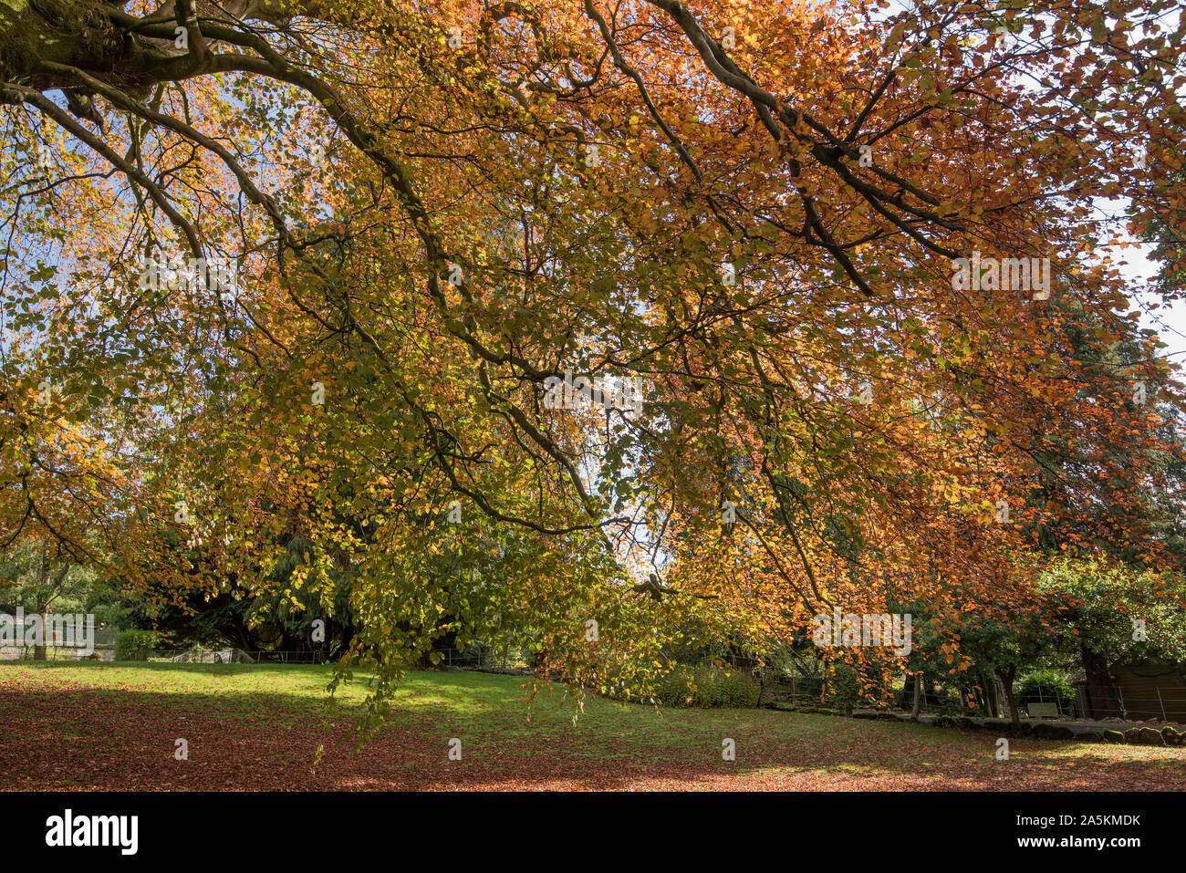 Around Hanlith Hall, Airton Stock Photo - Alamy