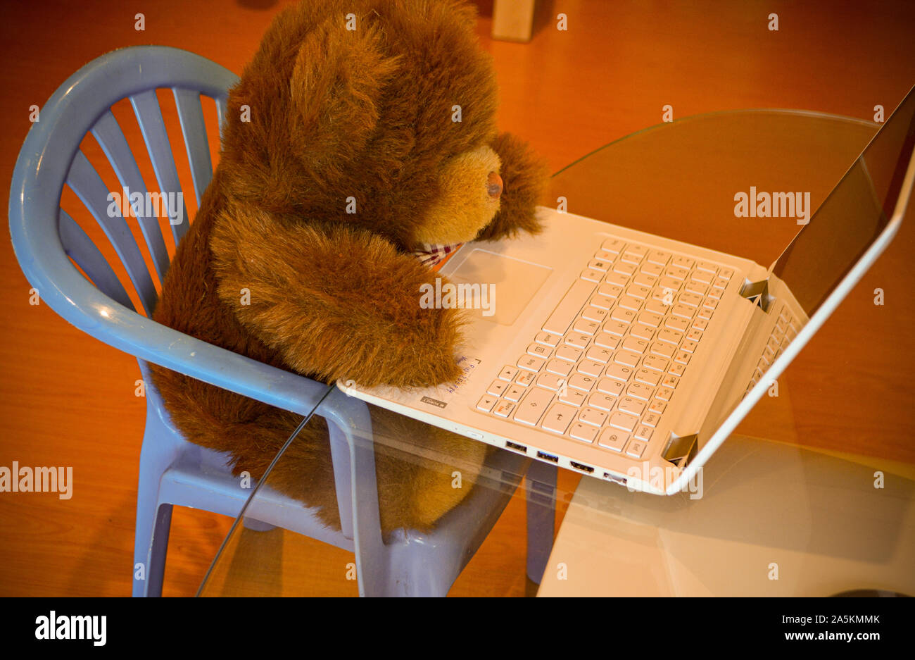 teddy bear working on a white laptop Stock Photo - Alamy