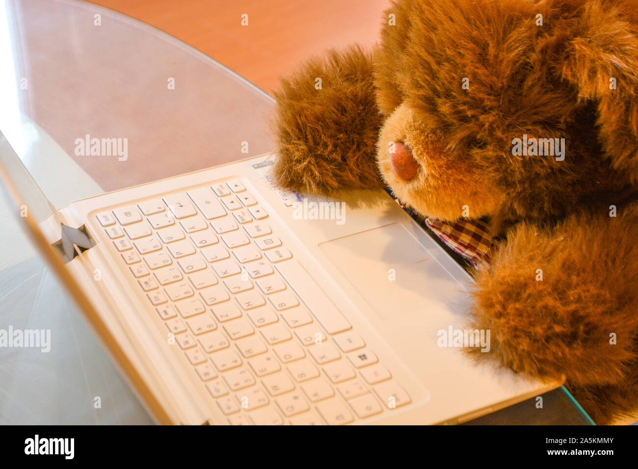 Laptop mascot hi-res stock photography and images - Alamy