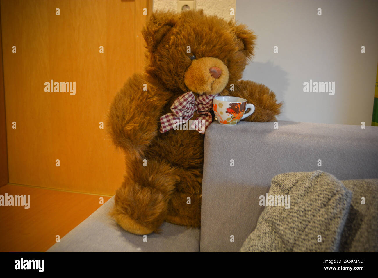 Teddy bear tea hi-res stock photography and images - Alamy