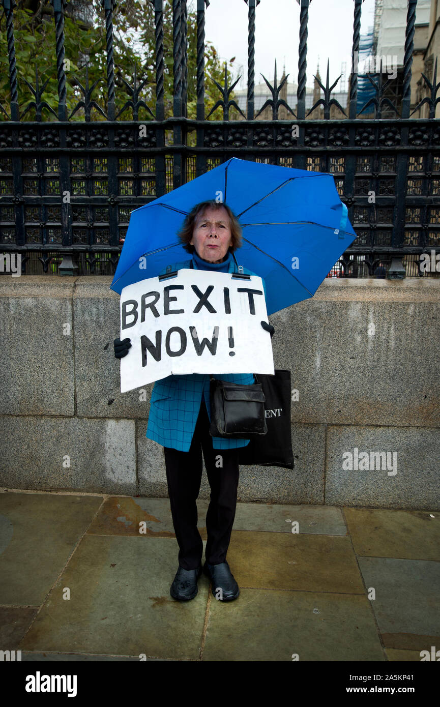 Houses of Parliament October 21st 2019. Hazel, Leave supporter holds a ...
