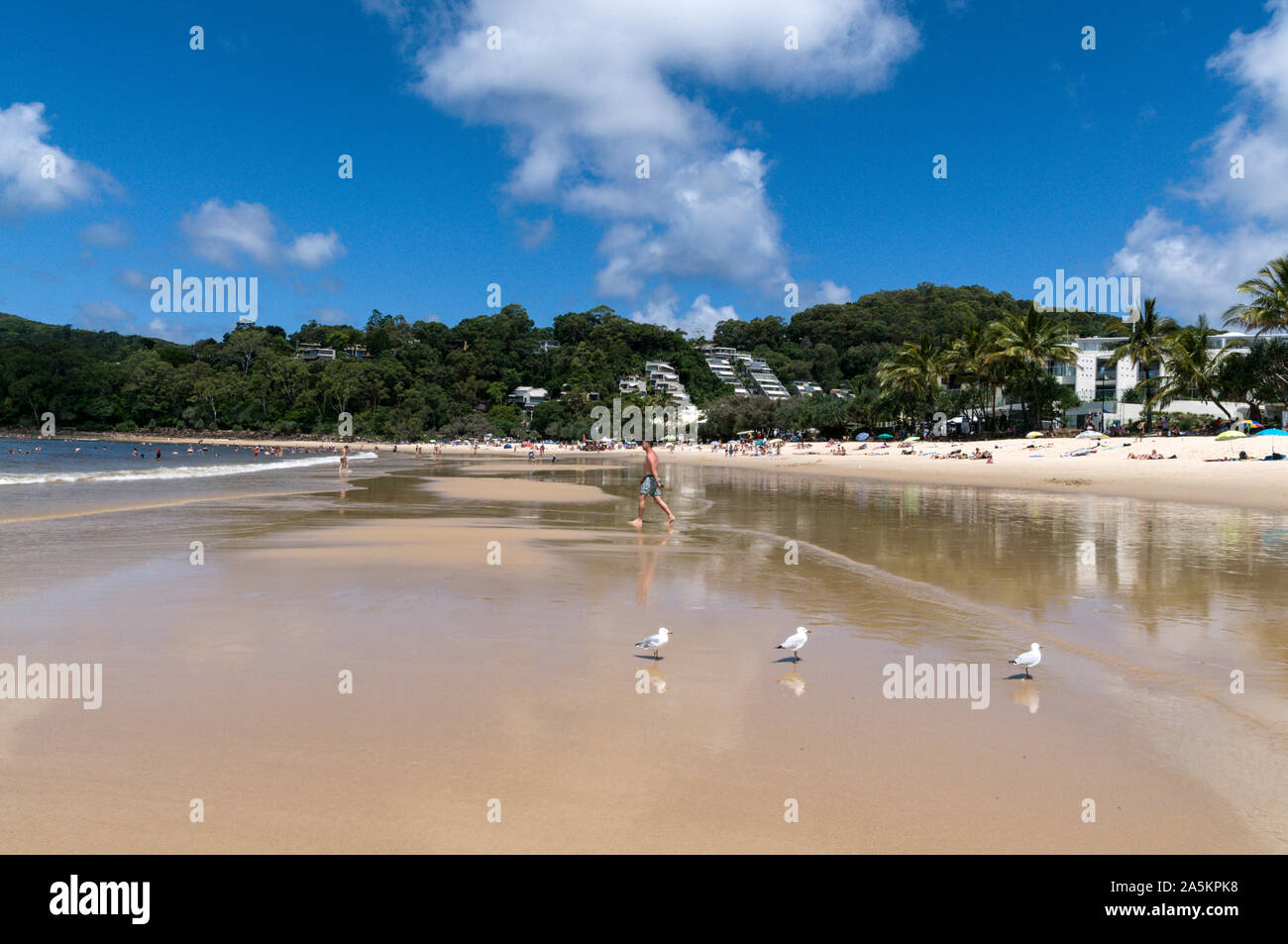 Noosa beach at Noosa Head, a popular upmarket coastal town on the ...