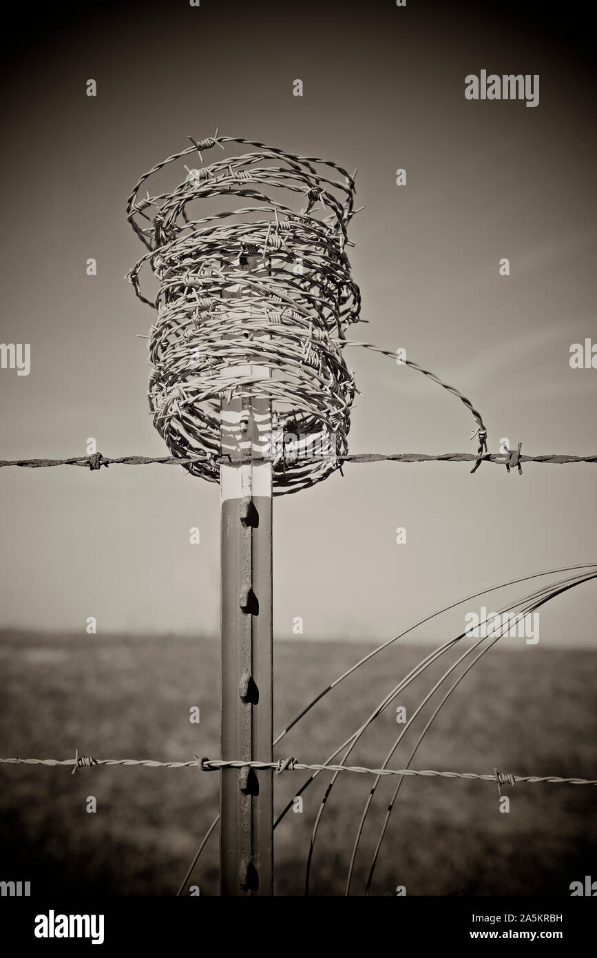 Coiled barbed wire on top of metal fence post Stock Photo - Alamy