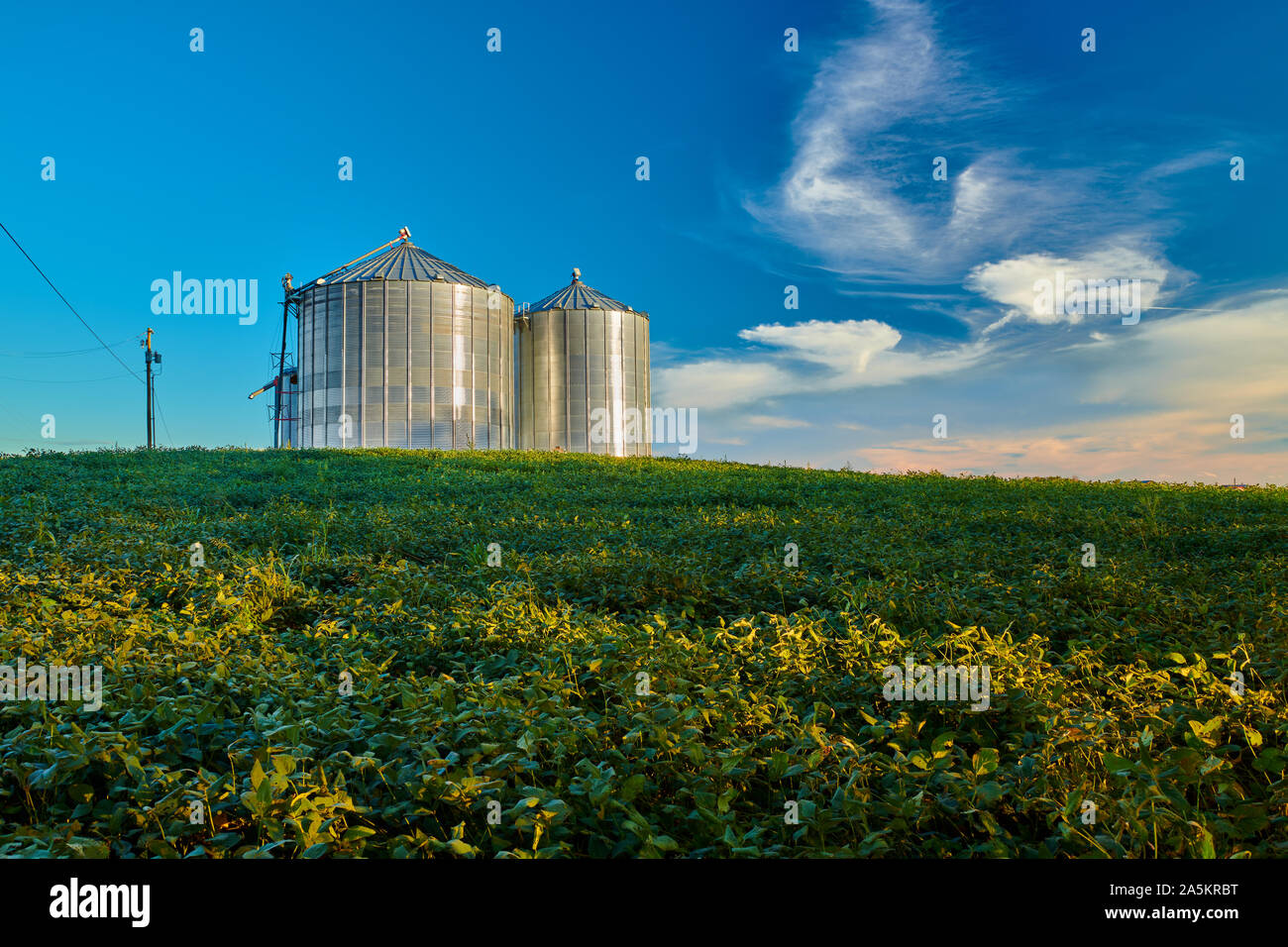 Metal silos hi-res stock photography and images - Alamy