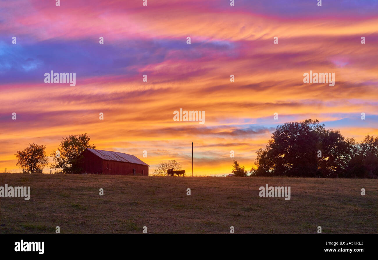 Agriculture farming field evening horizontal hi-res stock photography ...