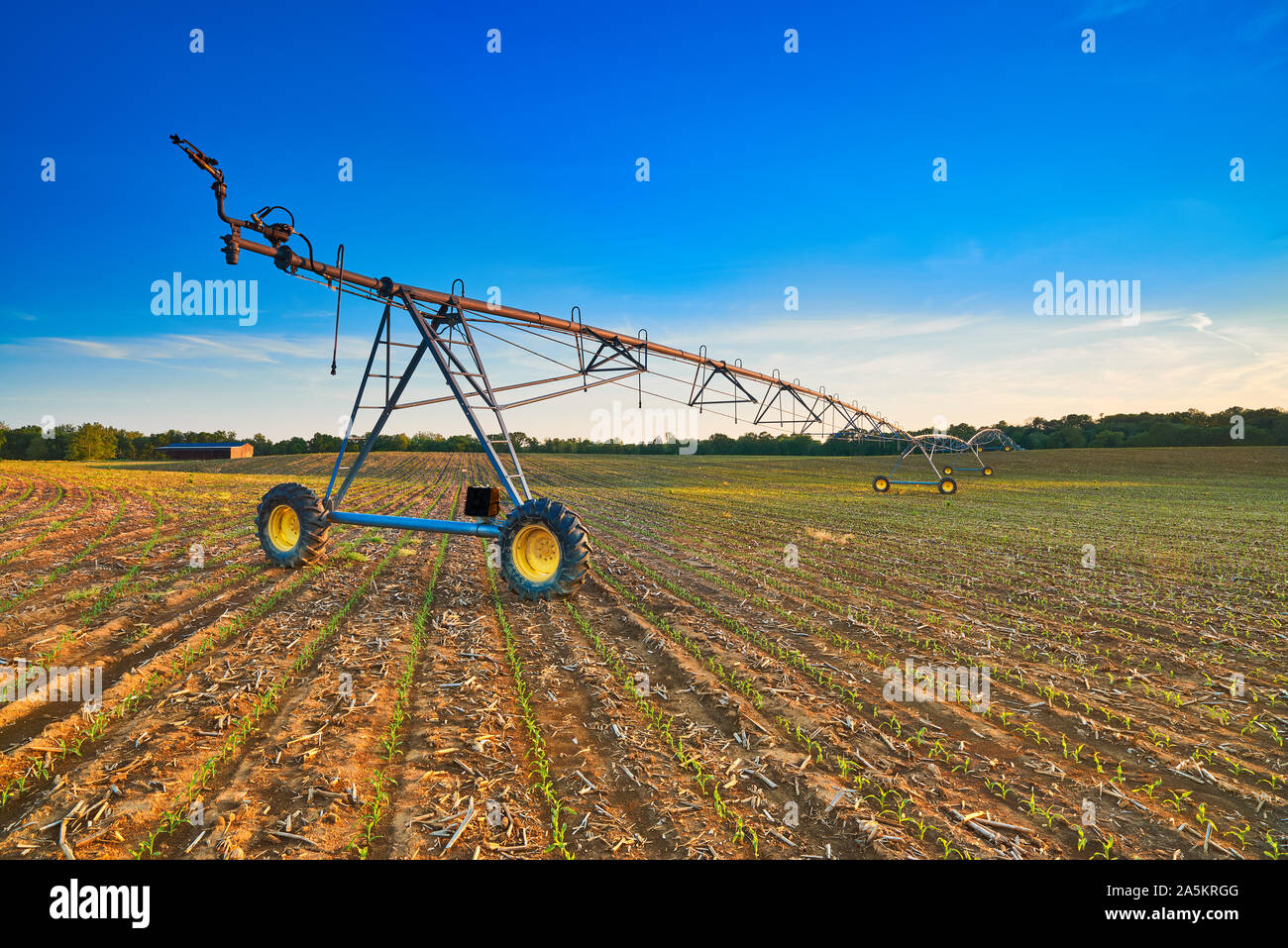 Center pivot irrigation corn hi-res stock photography and images - Alamy