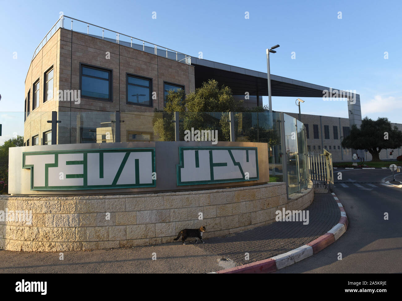 Teva opioid hi-res stock photography and images - Alamy