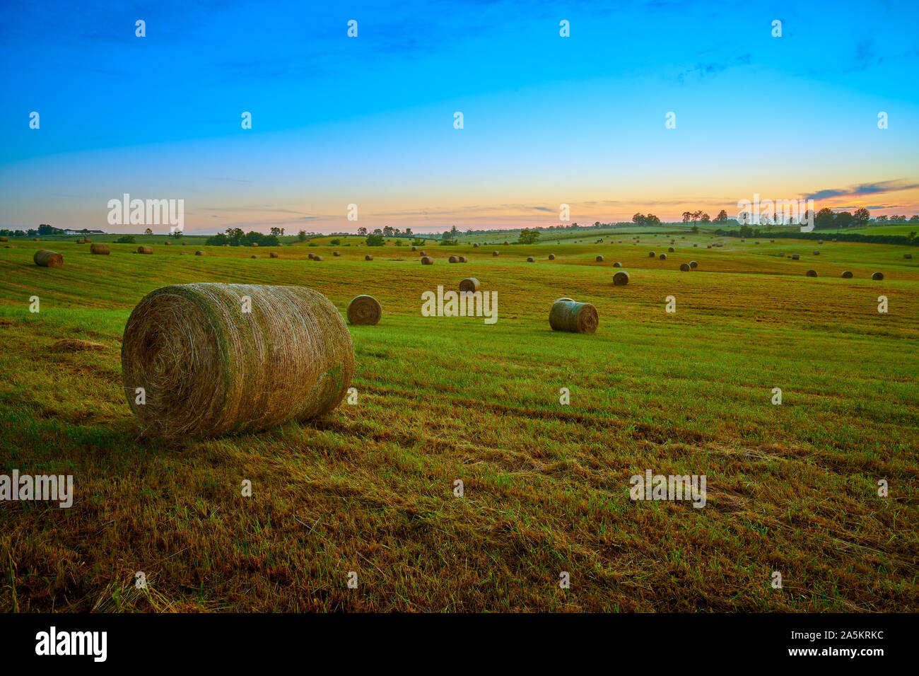 Harvest hay bails hi-res stock photography and images - Alamy
