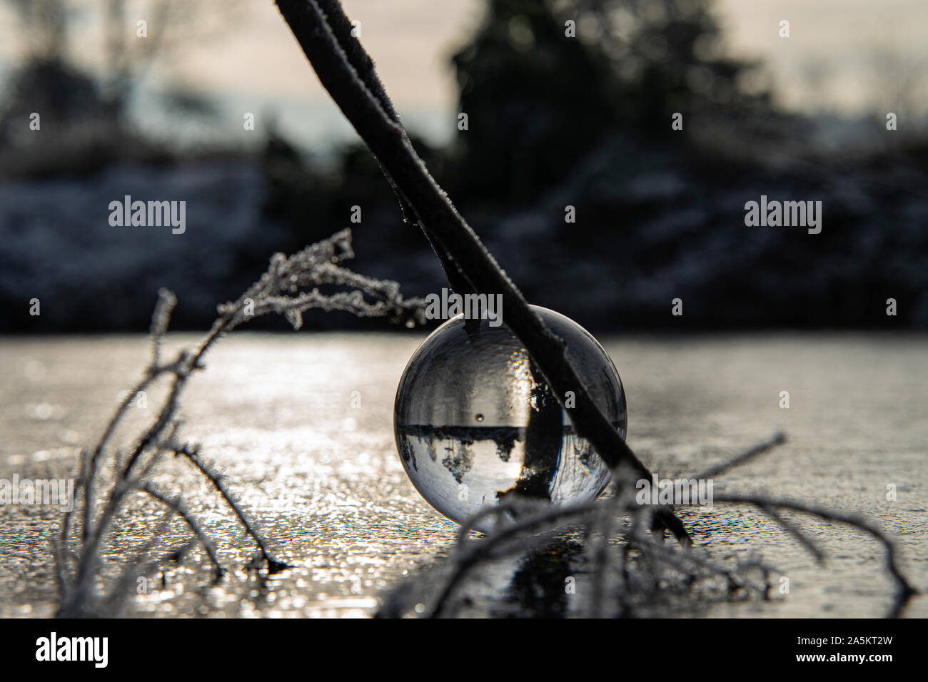 glass sphere on ice in winter Stock Photo - Alamy
