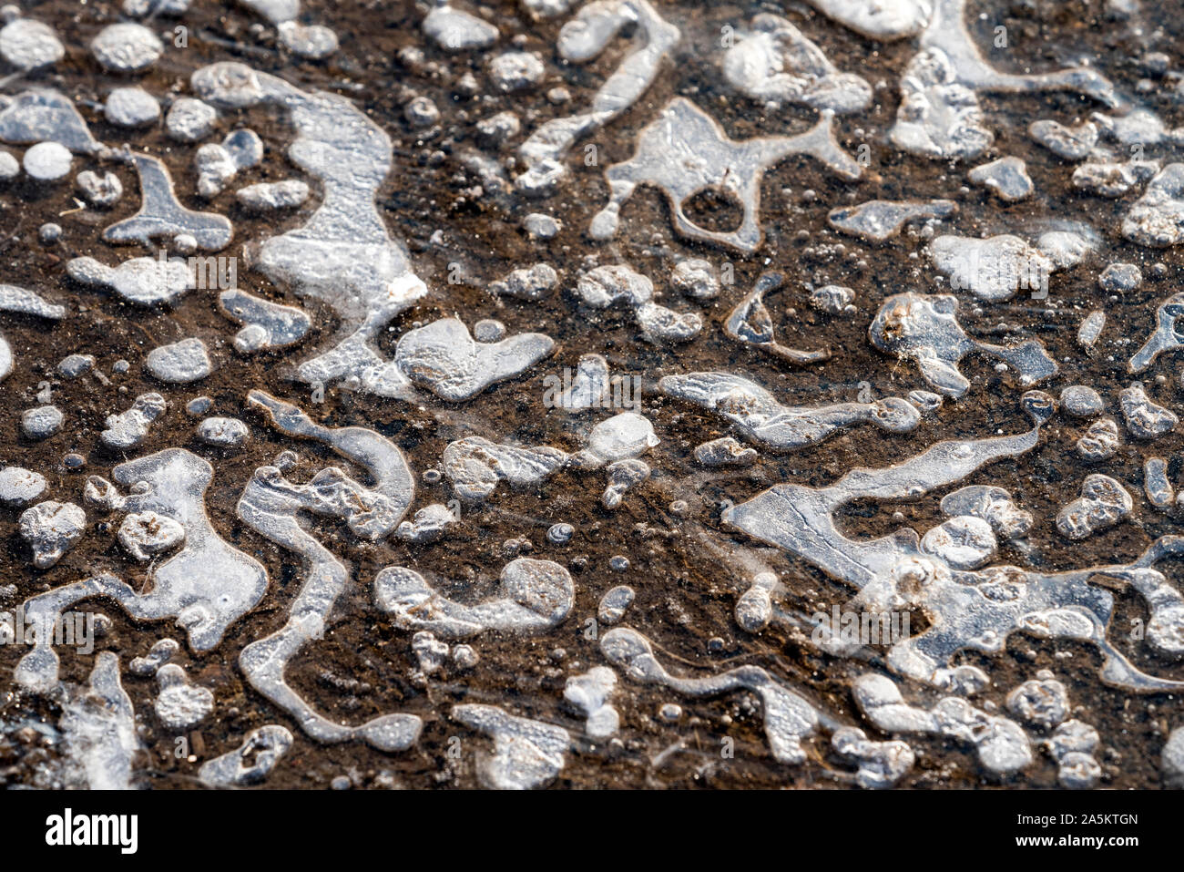 Puddles hi-res stock photography and images - Alamy