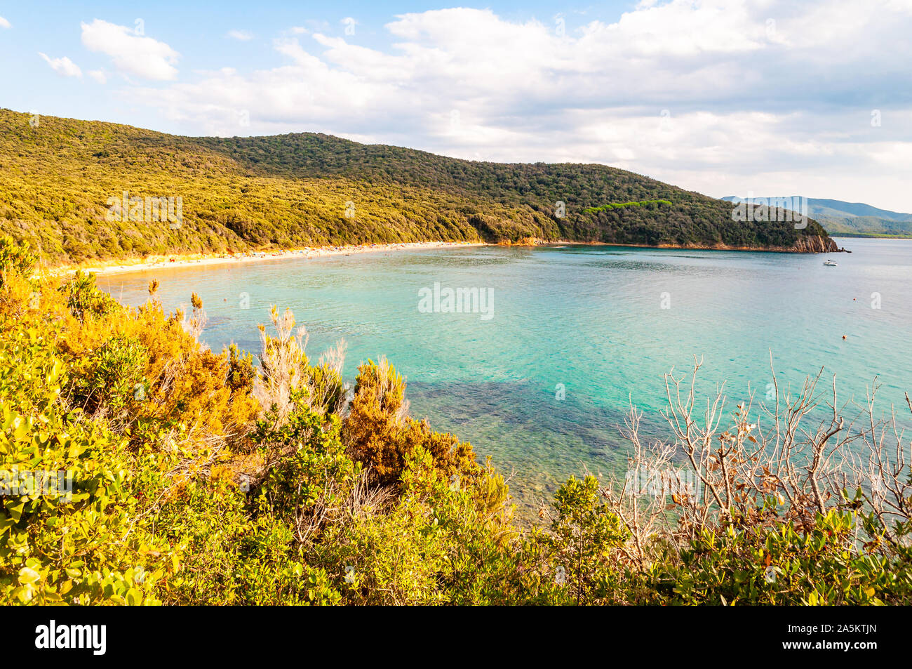 Scenic landscape view on Cala Violina beach and Tyrrhenian Sea bay ...