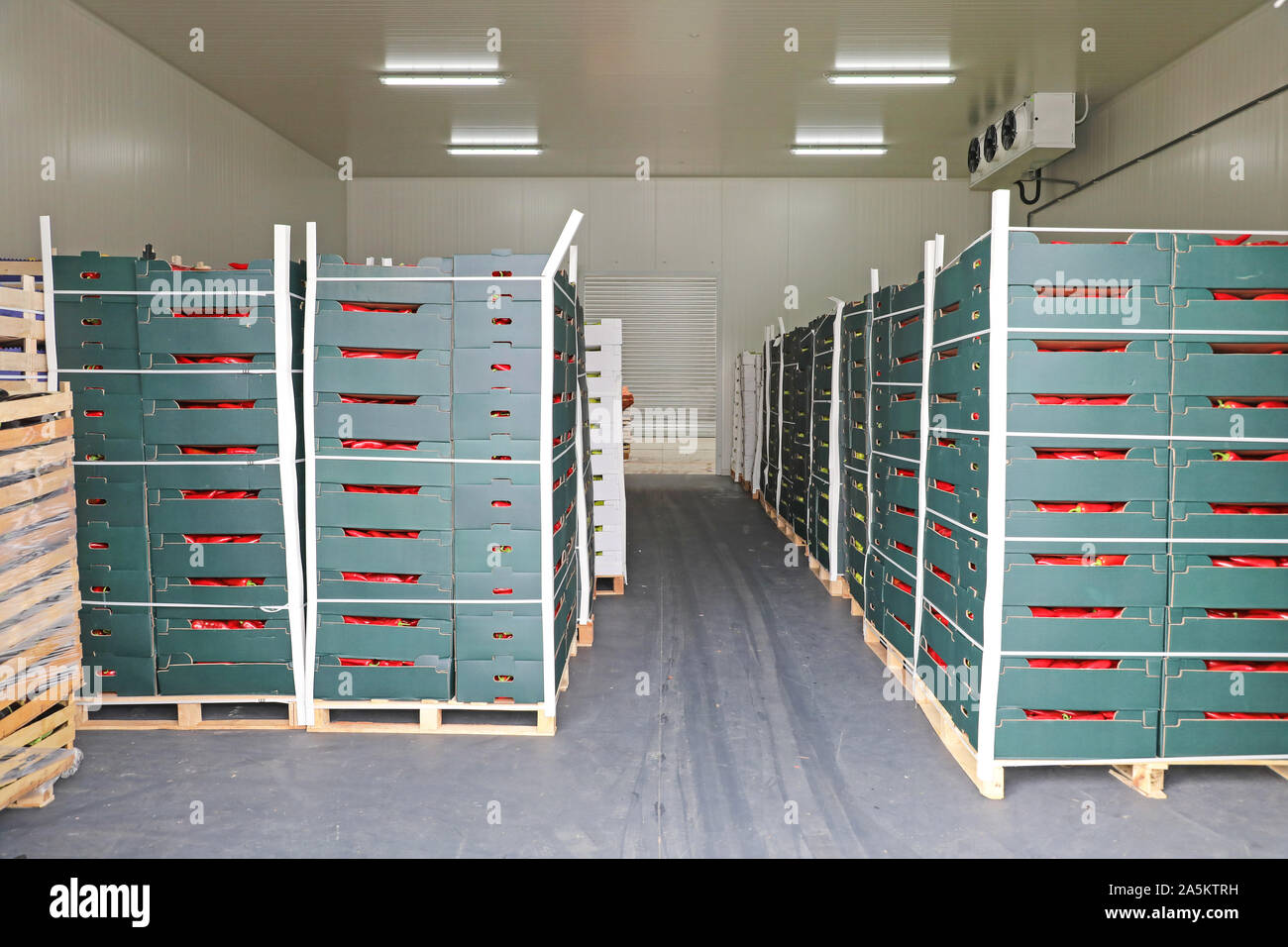 Fruits and Vegetables in Crates at Pallets Storage Warehouse Stock ...