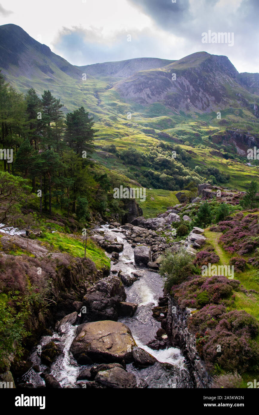 Remote com hi-res stock photography and images - Alamy