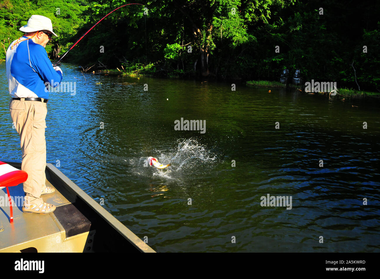 An angler battles a strong largemouth bass in Mexican bass waters ...