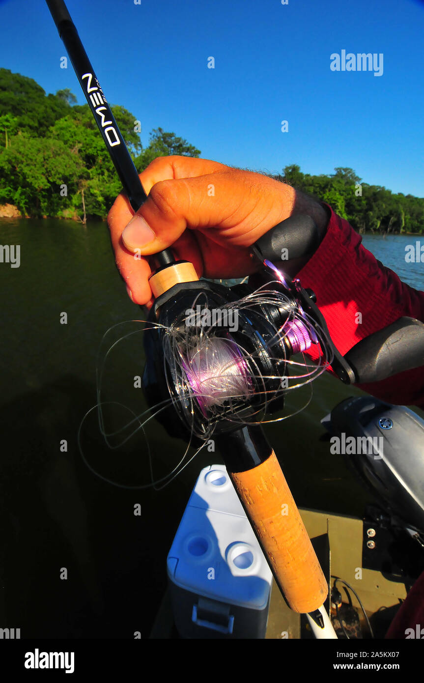 Largemouth bass nest hi-res stock photography and images - Alamy