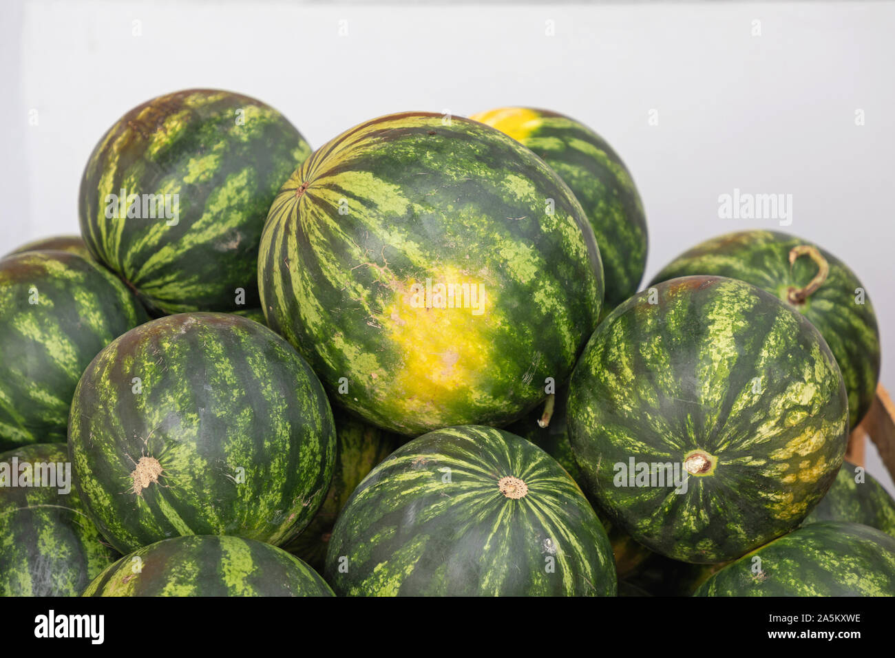 Big Bunch of Green Watermelons Fruits Stock Photo - Alamy
