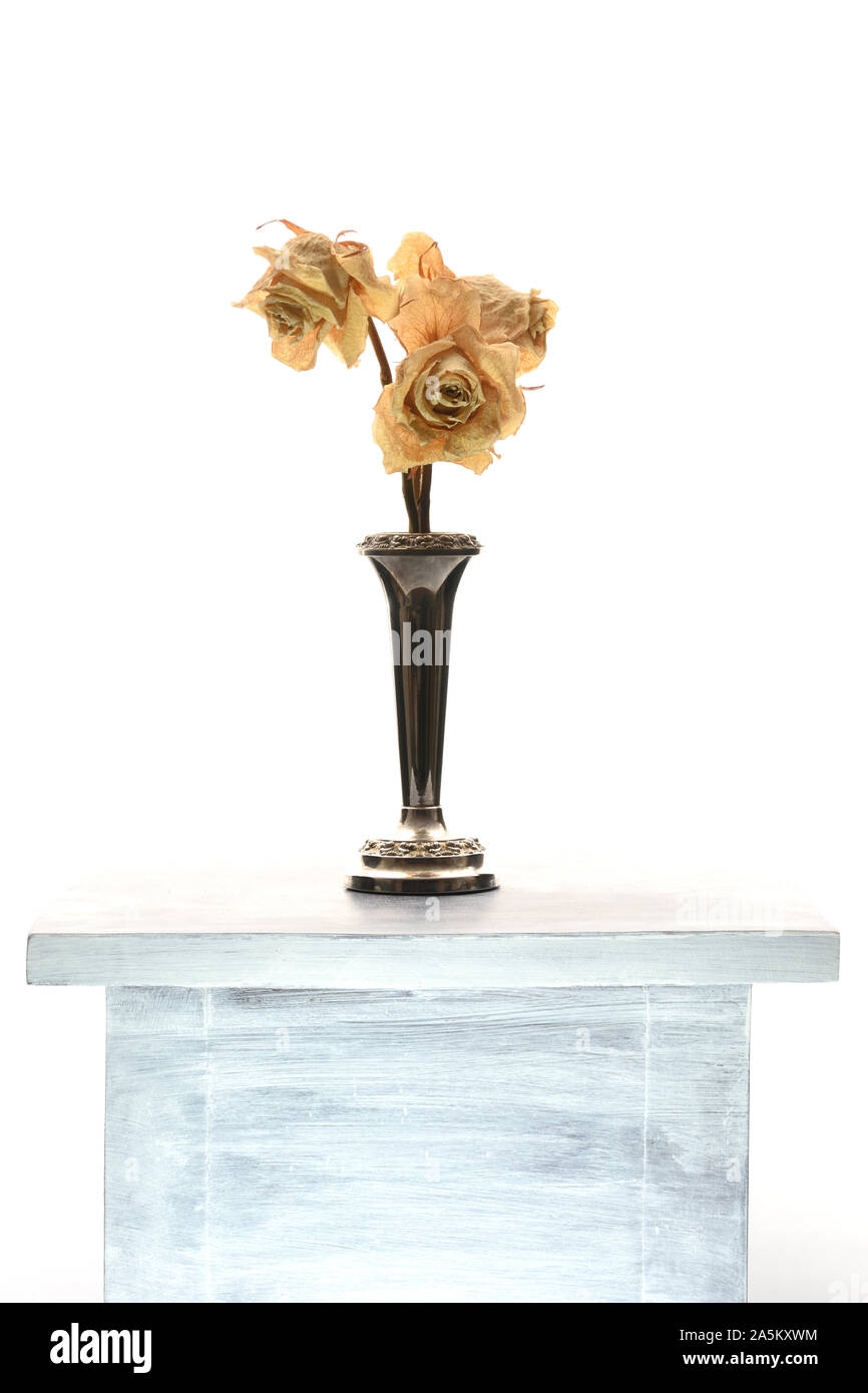 Trauer rose hi-res stock photography and images - Alamy