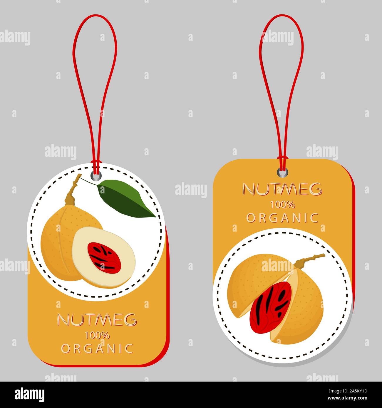 Illustration on theme big set different types spice nutmeg, nuts ...
