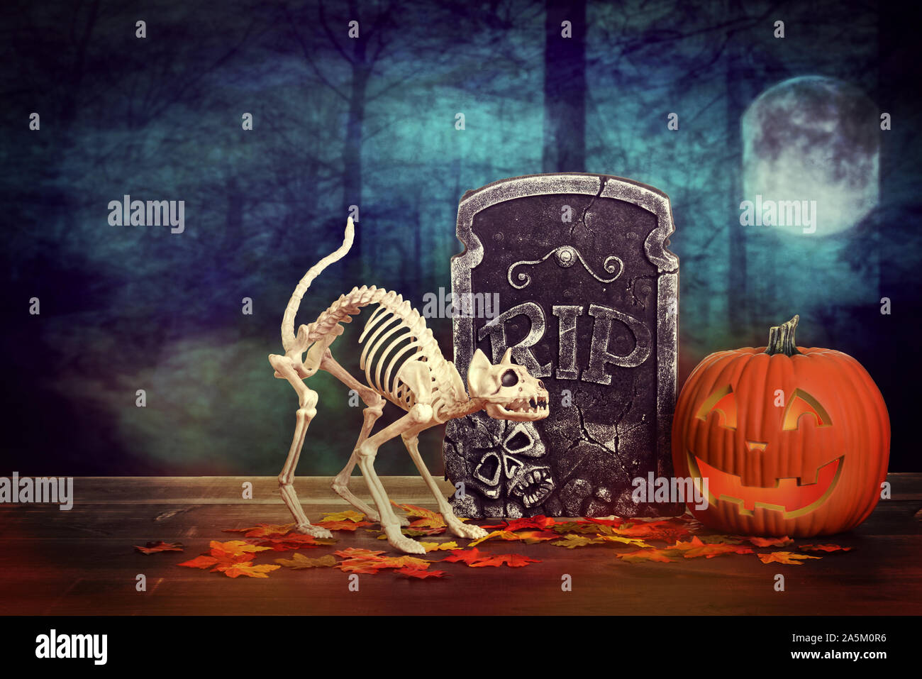 scary halloween skeleton cat with tombstone Stock Photo - Alamy
