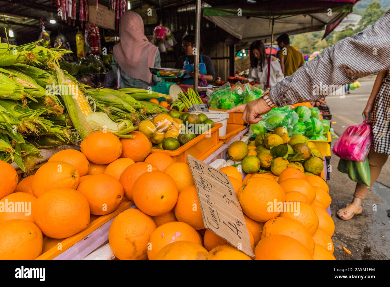 The Kea Farm Market in Cameron Highlands Stock Photo - Alamy