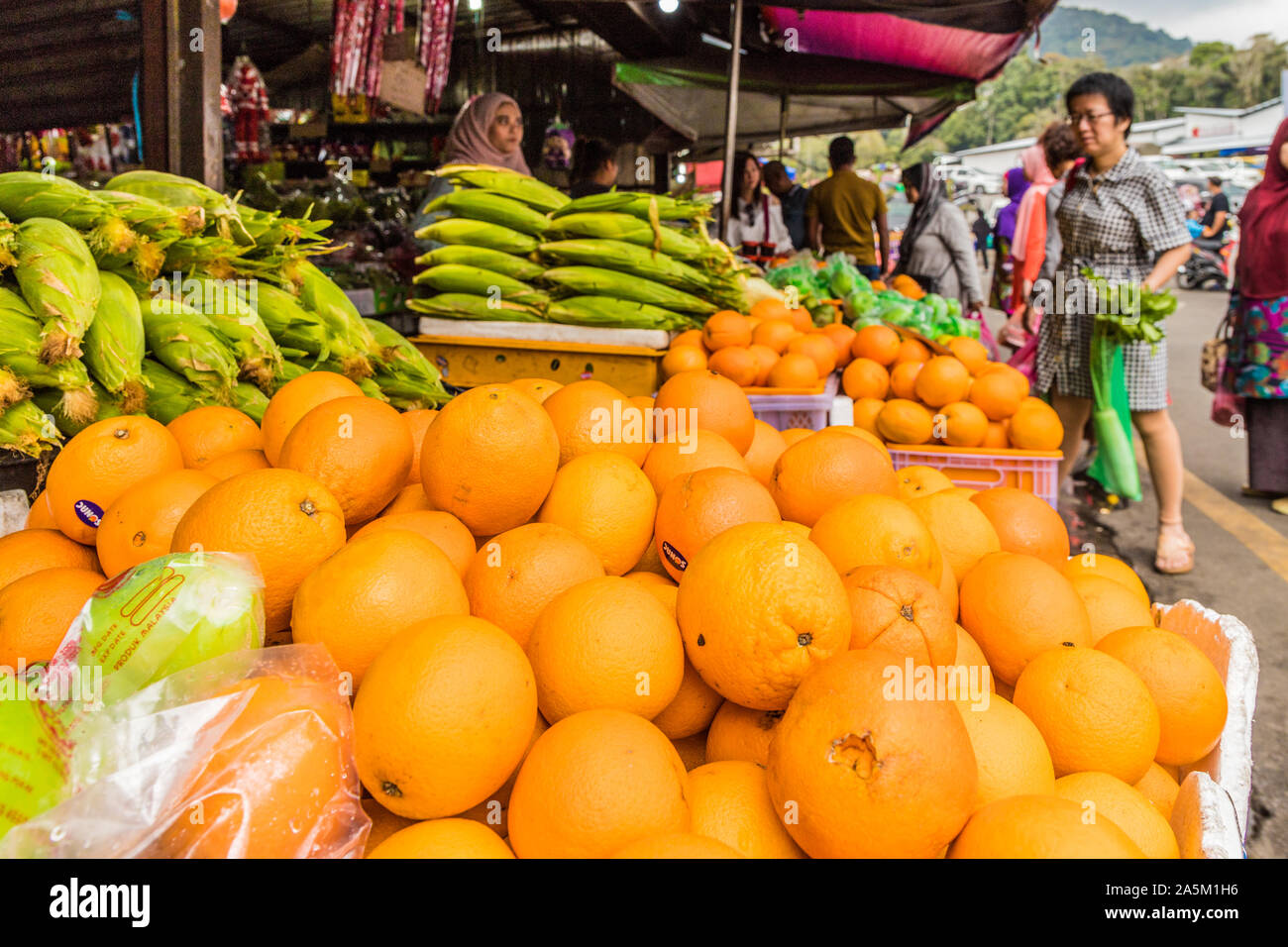 The Kea Farm Market in Cameron Highlands Stock Photo - Alamy