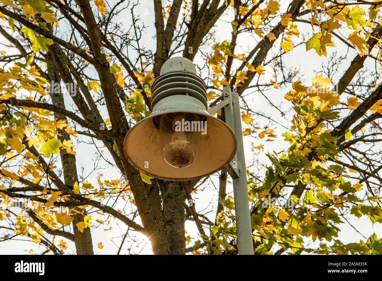 old street lamp with insects and light bulb Stock Photo - Alamy