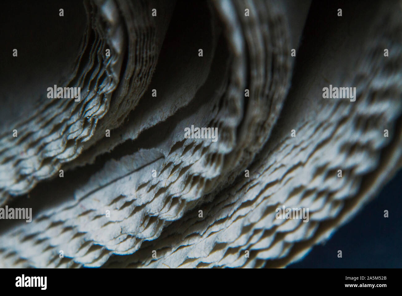 Macro shots folded a newspaper closeup picture Stock Photo - Alamy