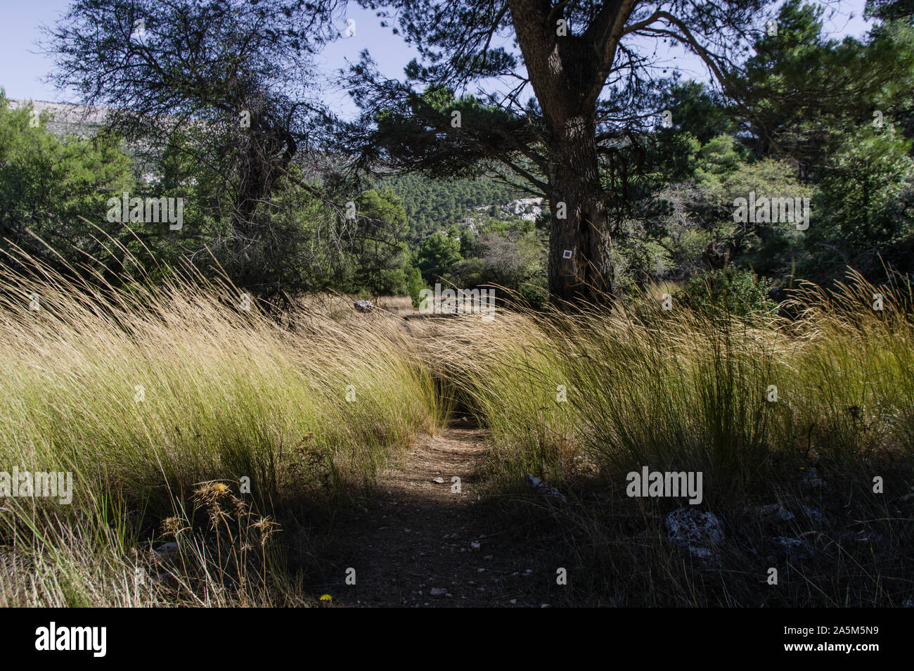 Parnitha park athens hi-res stock photography and images - Alamy