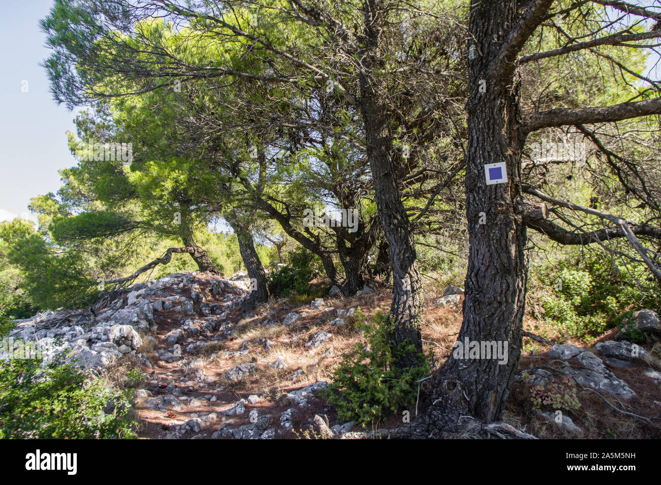 Parnitha park athens hi-res stock photography and images - Alamy