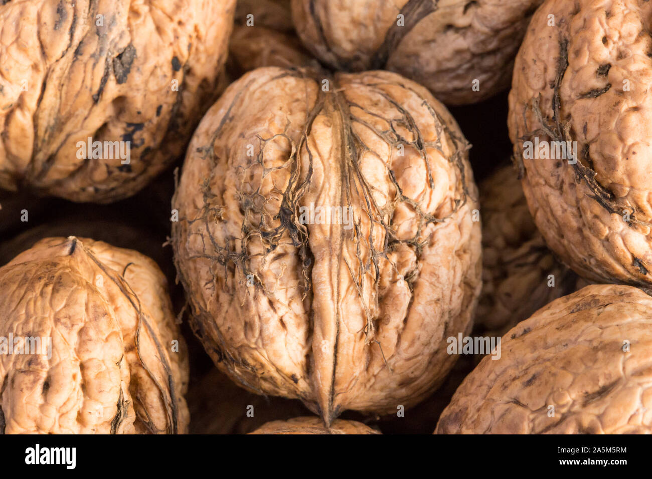 Walnut background, scattered pile of walnuts. Walnuts of Juglans regia ...