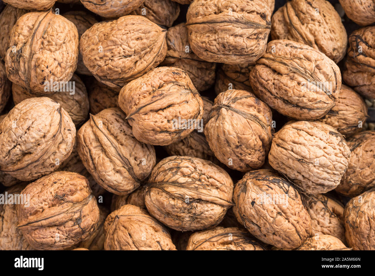 Walnut background, scattered pile of walnuts. Walnuts of Juglans regia ...