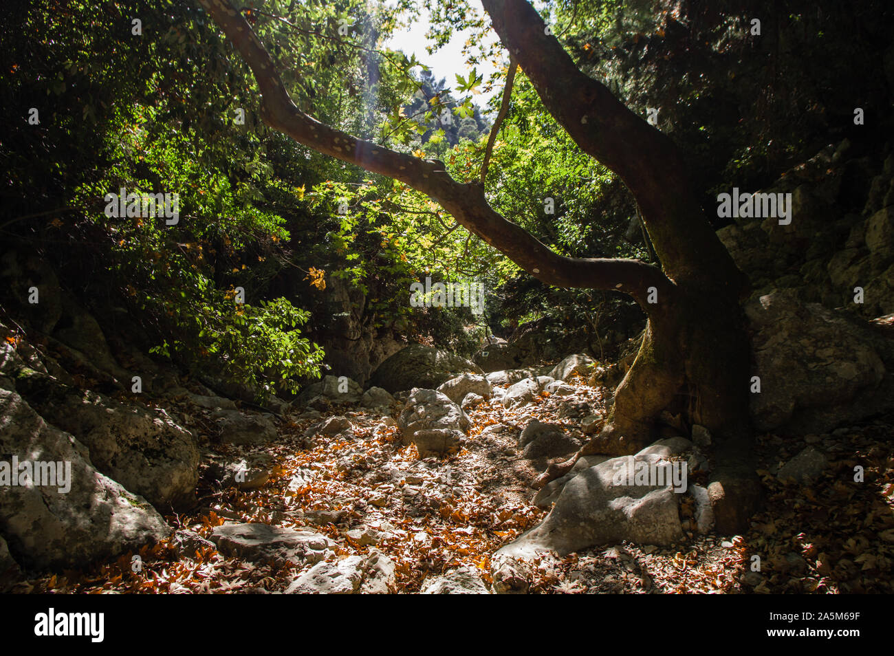 Parnitha park athens hi-res stock photography and images - Alamy