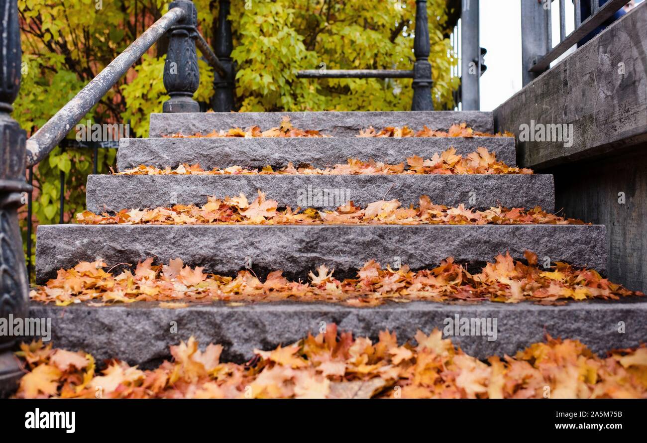 colourful autumn and fall leaves on stone steps in Sweden Stock Photo ...