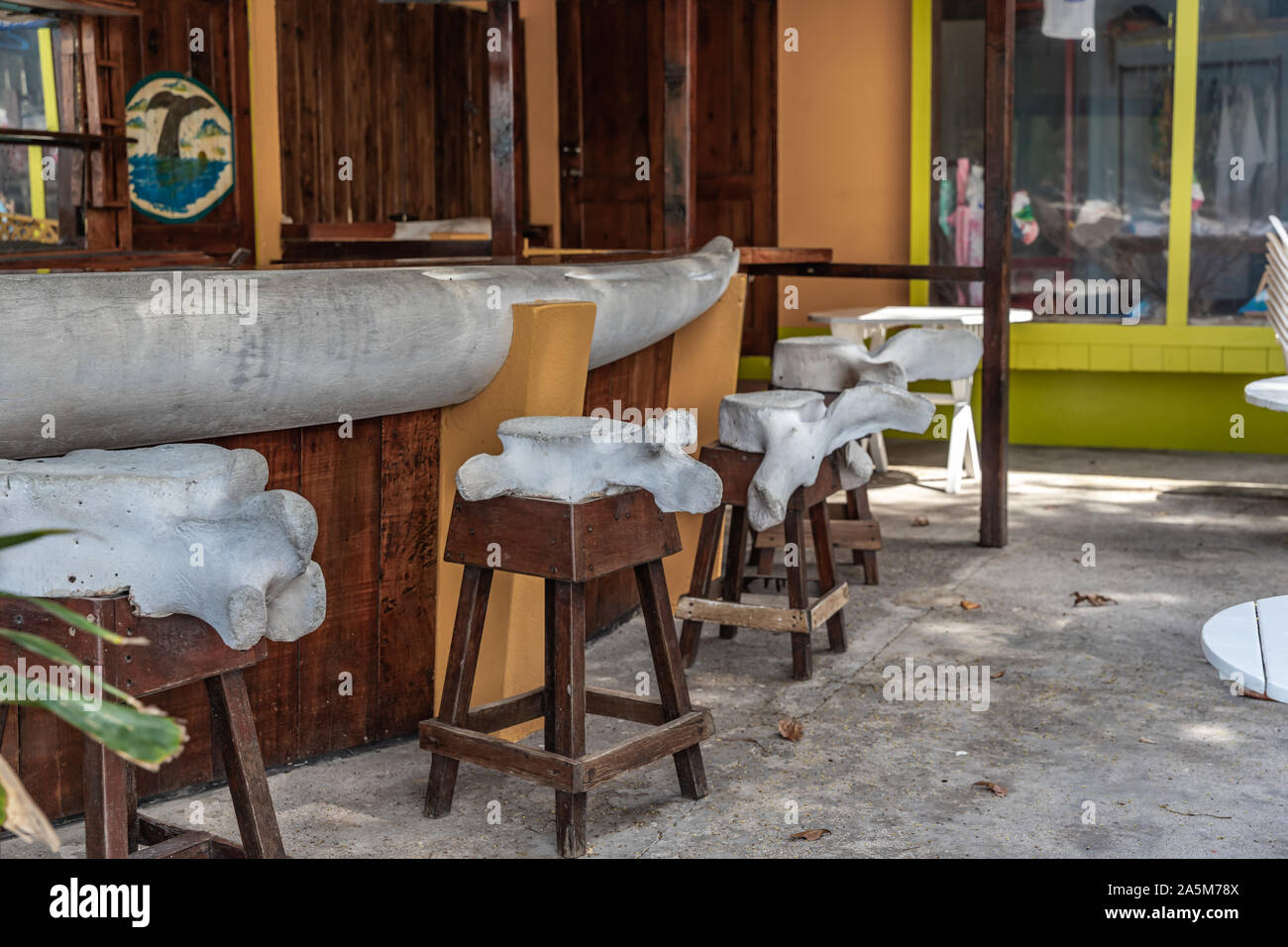 Whale bones ocean floor hi-res stock photography and images - Alamy