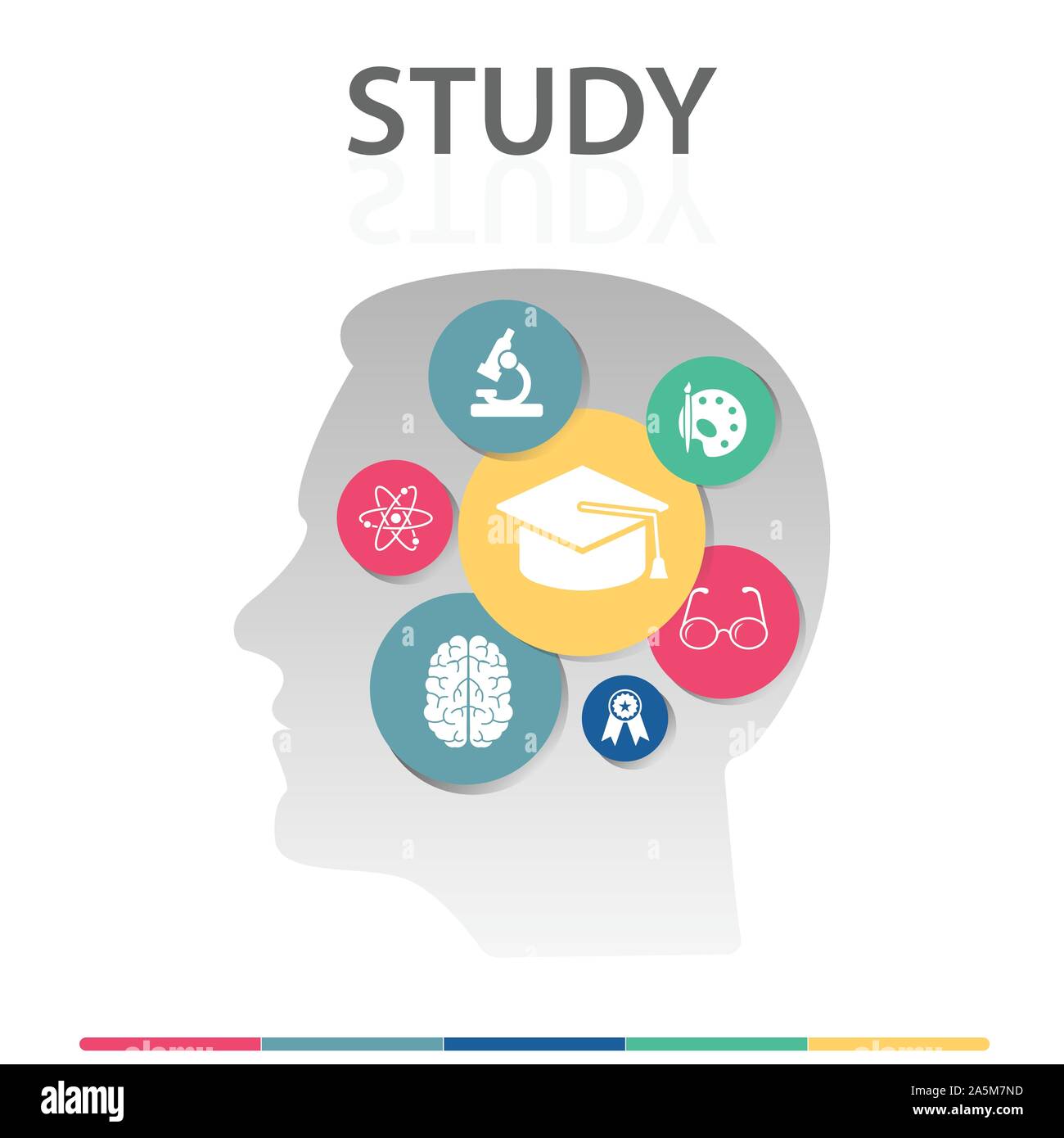 Study Infographics vector design. Timeline concept include graduation ...