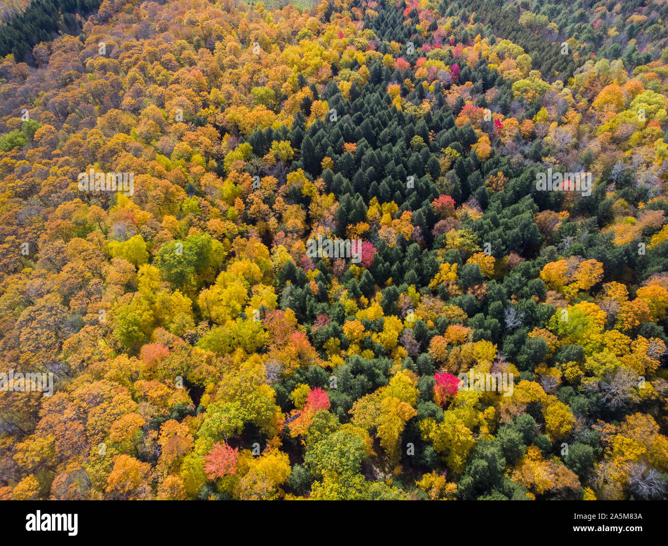 Dramatic fall foliage seen from the air near Quechee, Vermont Stock ...