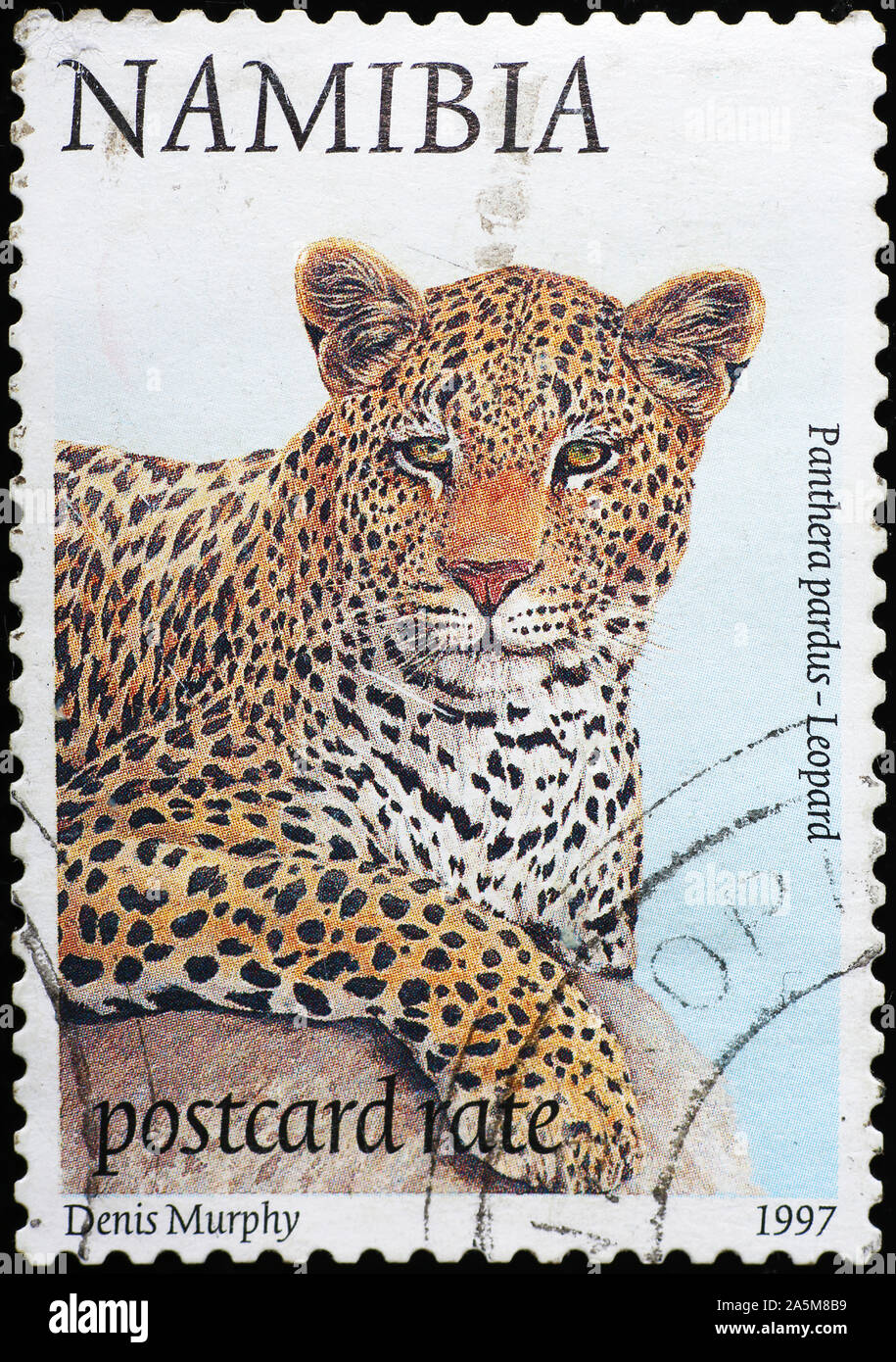 Portrait of leopard on postage stamp of Namibia Stock Photo - Alamy