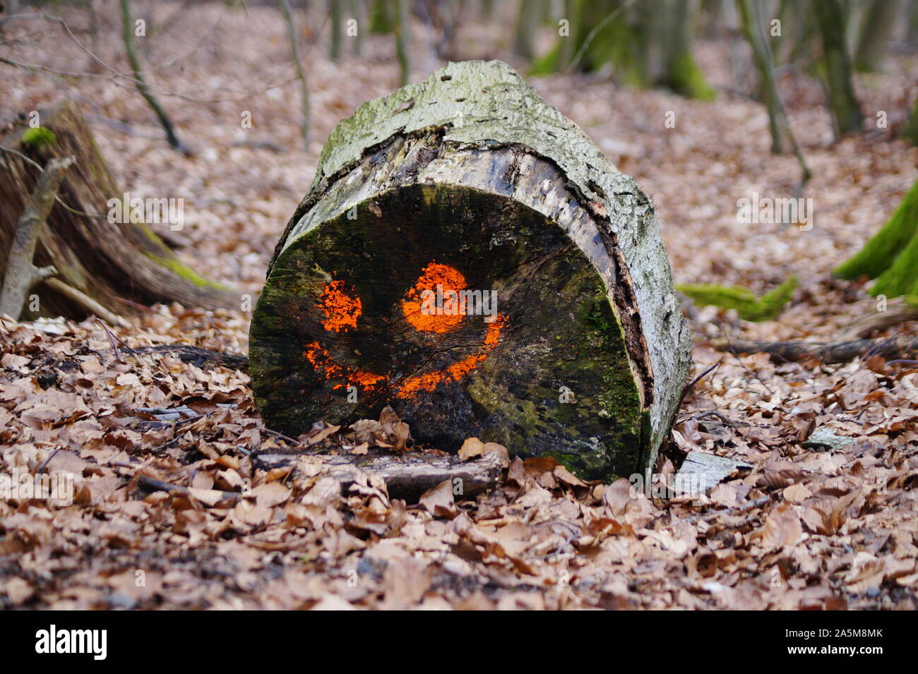 Face leaves tree hi-res stock photography and images - Alamy