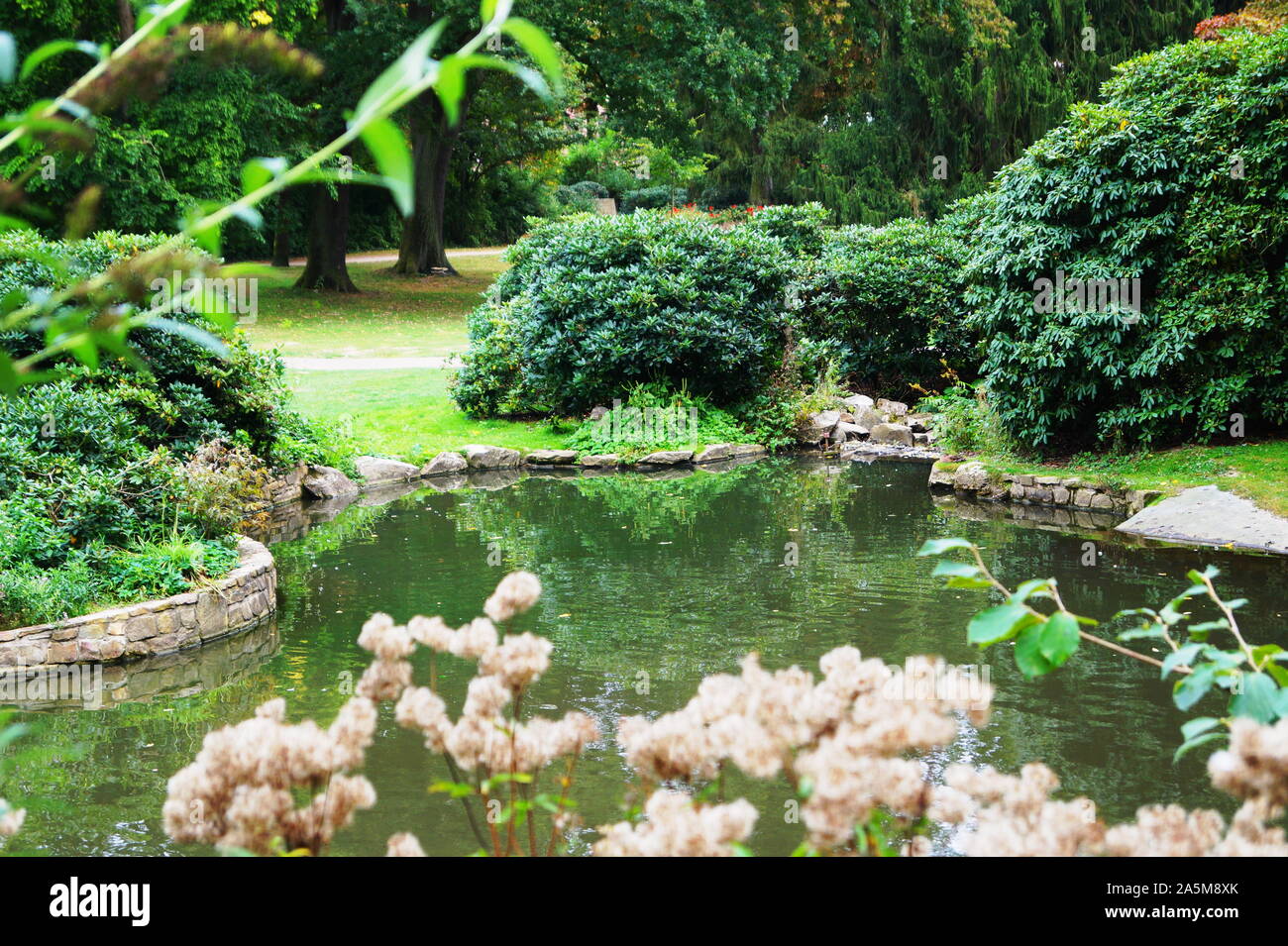 Beautiful pond hi-res stock photography and images - Alamy