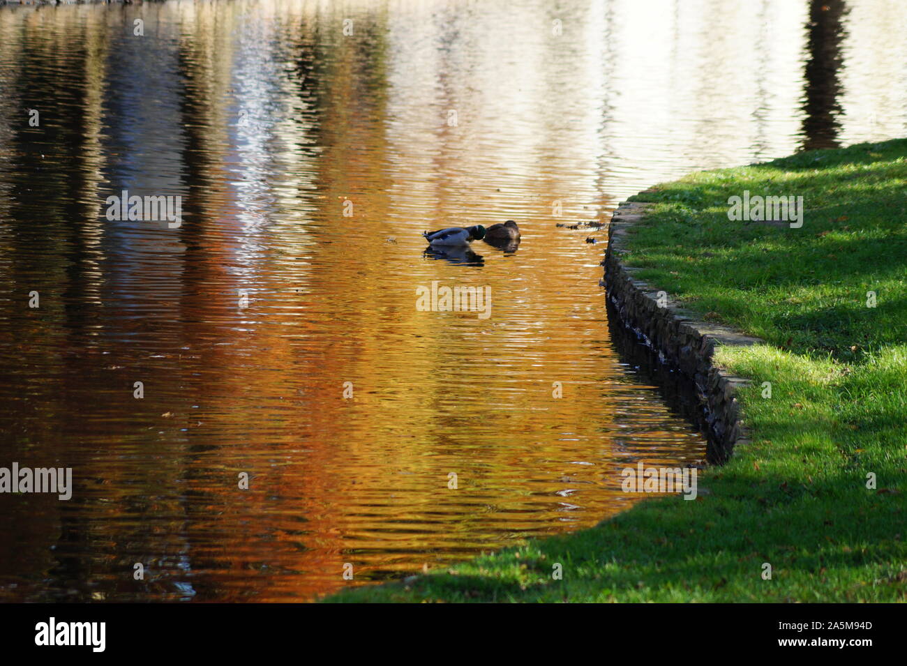 Beautiful pond hi-res stock photography and images - Alamy