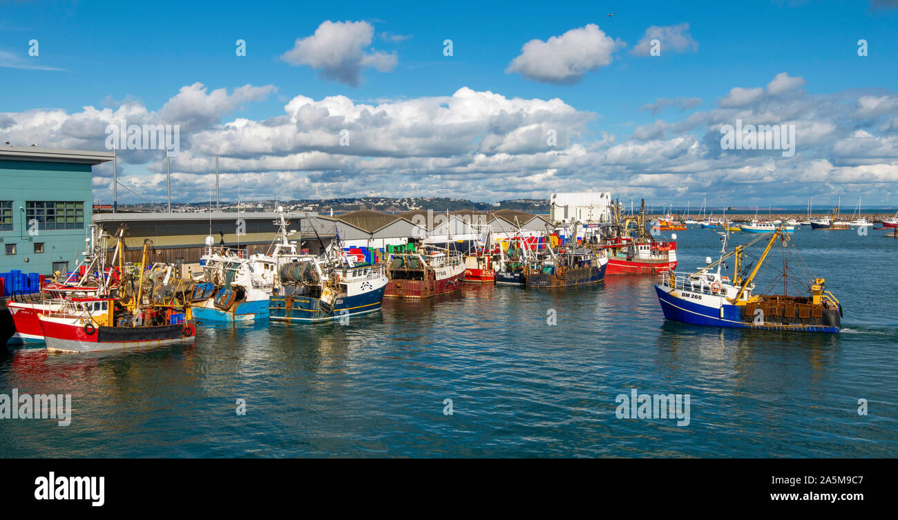 Fishing boats moored alongside the quay adjacent to Brixham Fishmarket ...