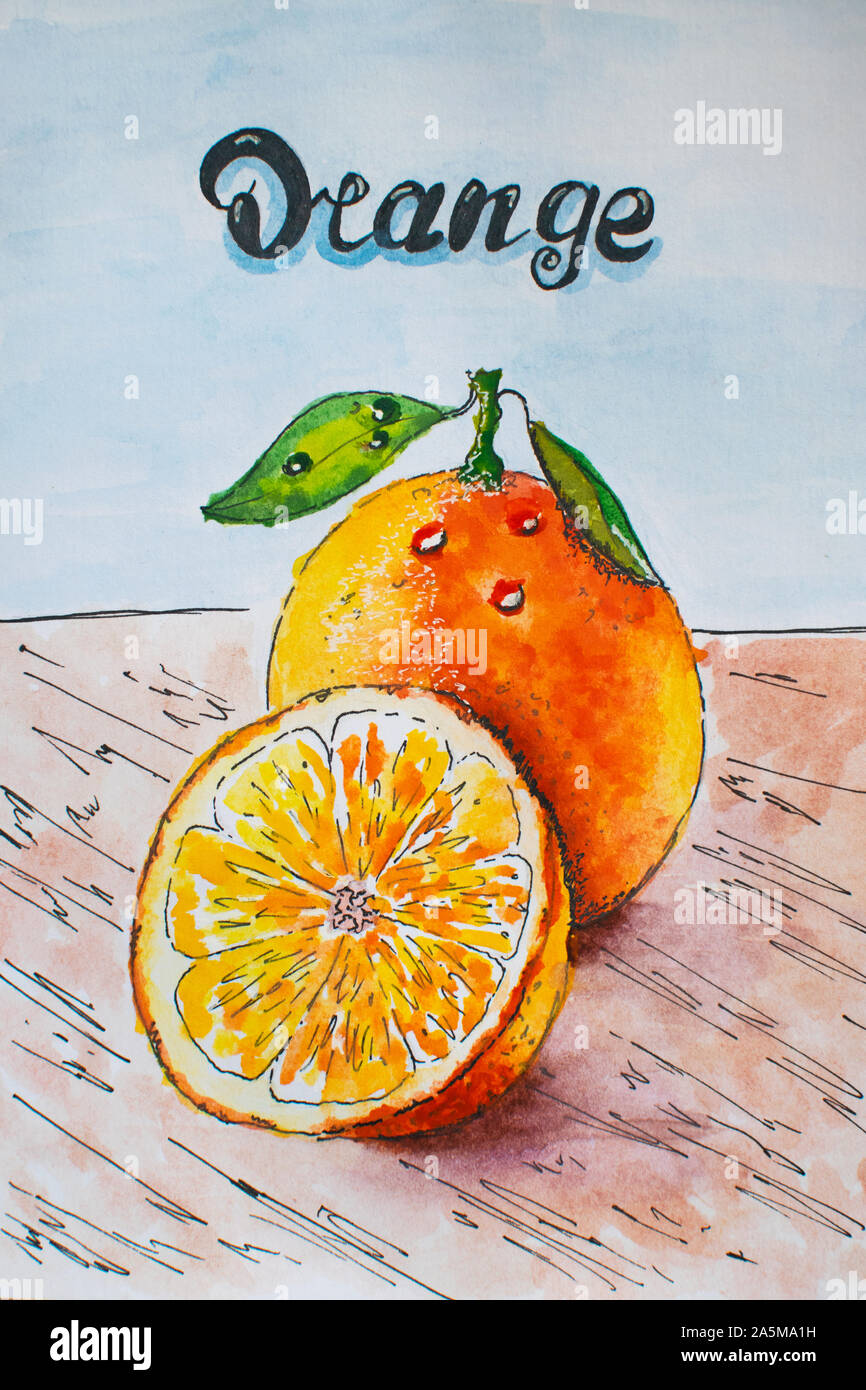 Ripe juicy orange. Hand drawn fruit. Watercolor sketch, illustration ...
