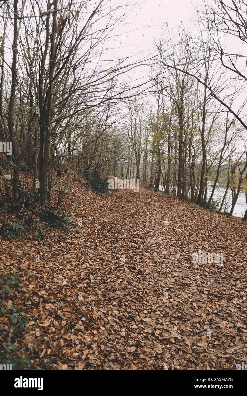 Seaside fall hi-res stock photography and images - Alamy