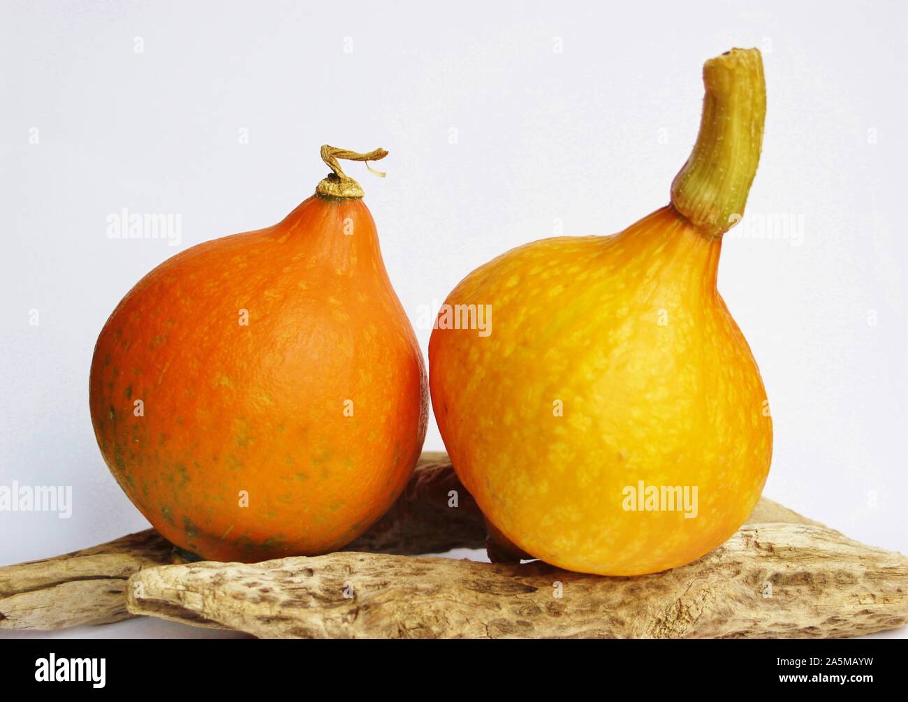 Two pumpkins hi-res stock photography and images - Alamy
