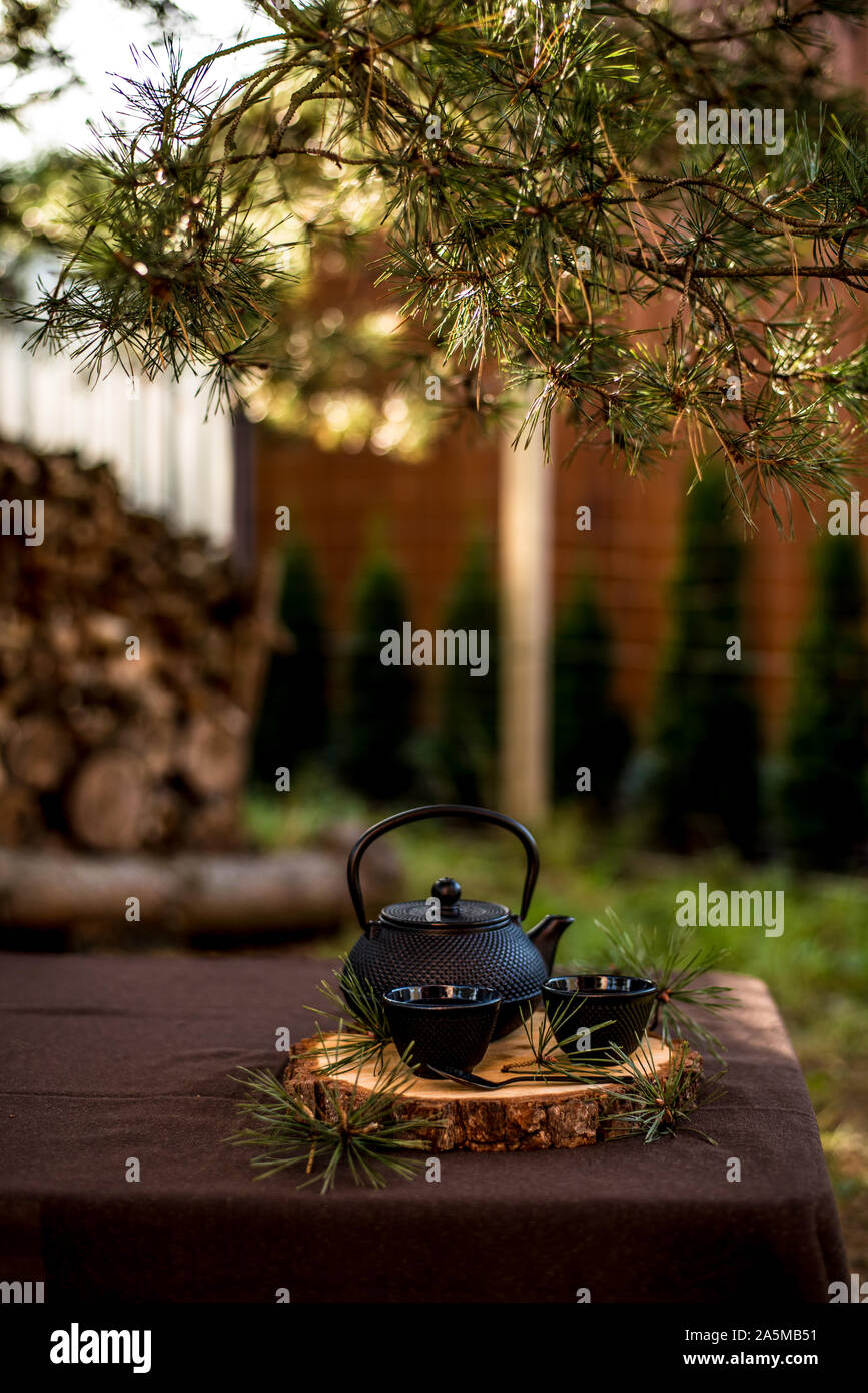 Tea pot in the garden with an infusion of pine. Pine tea Stock Photo ...