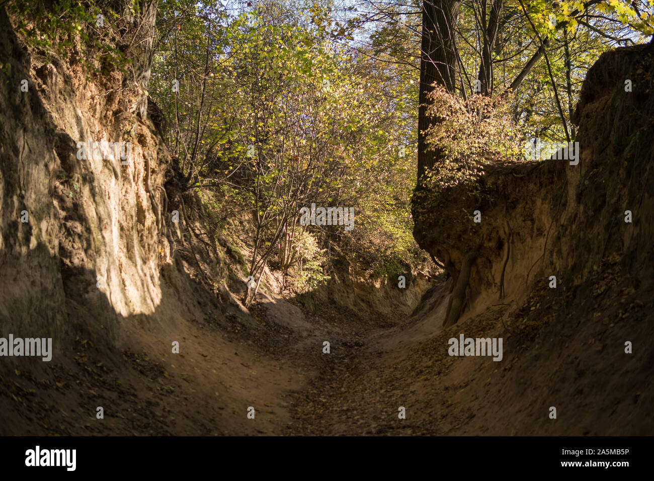 bottom of a most famous gully landform in Kazimierz Dolny called ...