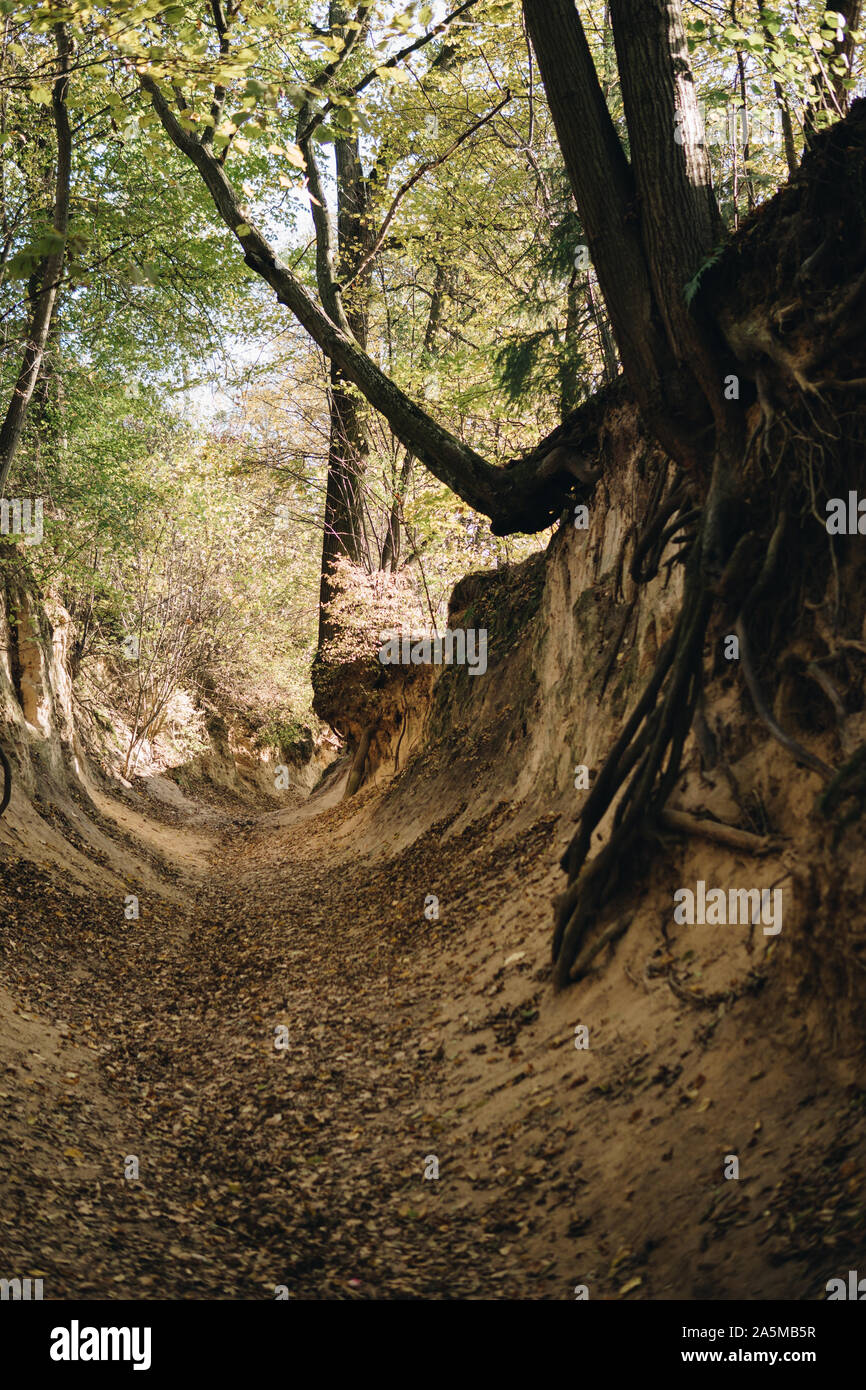 bottom of a most famous gully landform in Kazimierz Dolny called ...