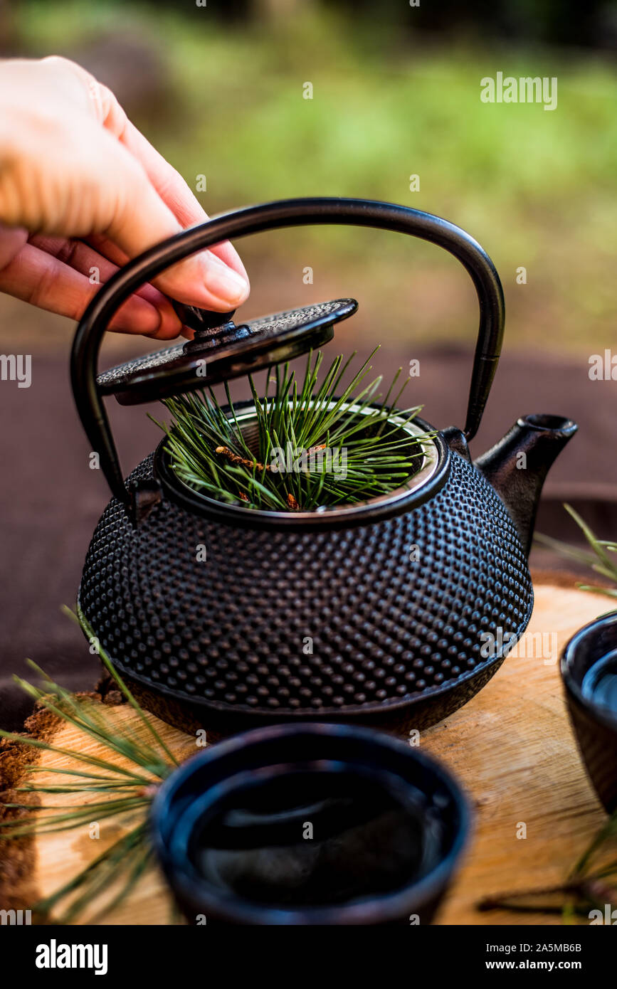 Infusion pine hi-res stock photography and images - Alamy