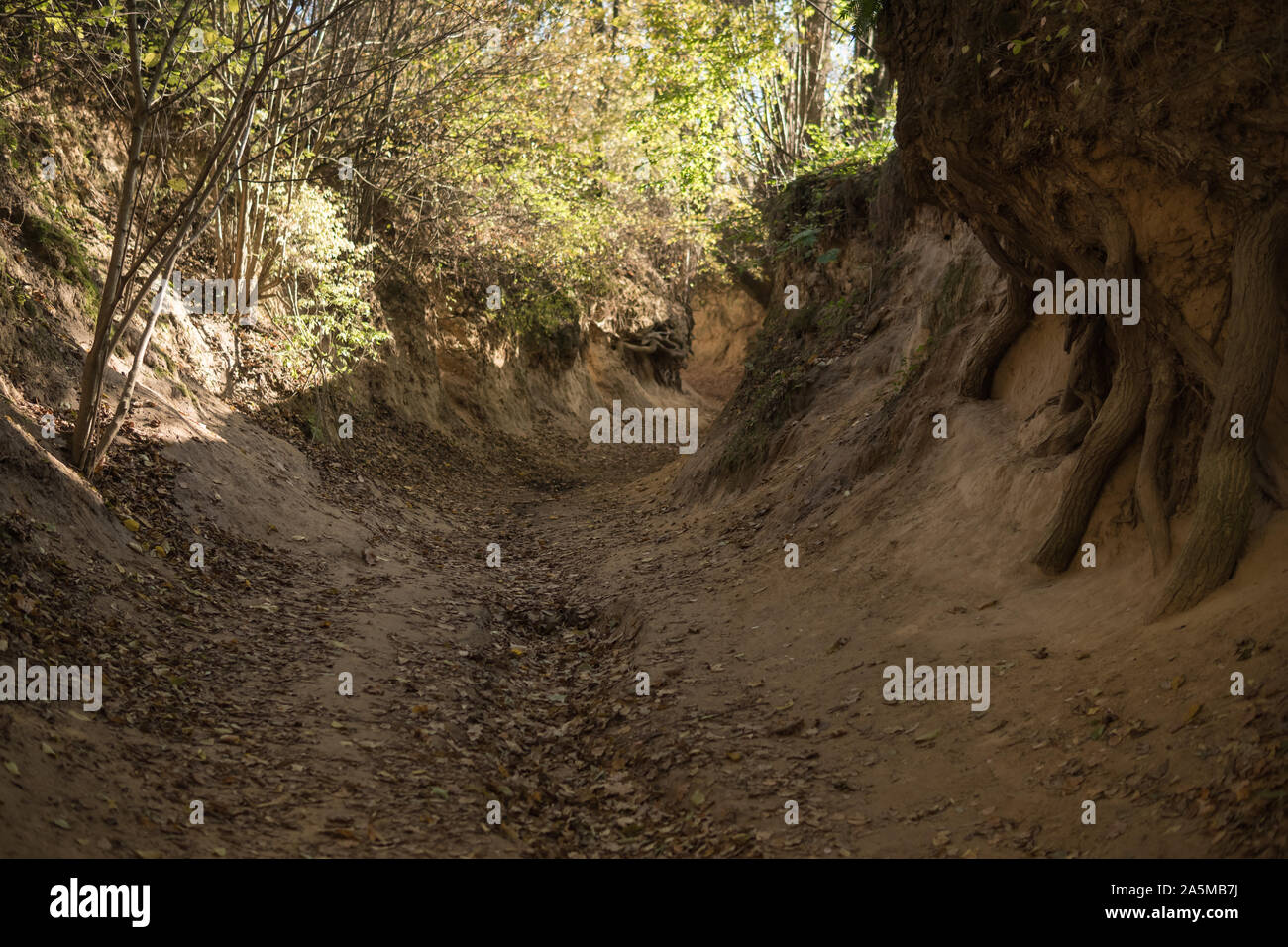 bottom of a most famous gully landform in Kazimierz Dolny called ...
