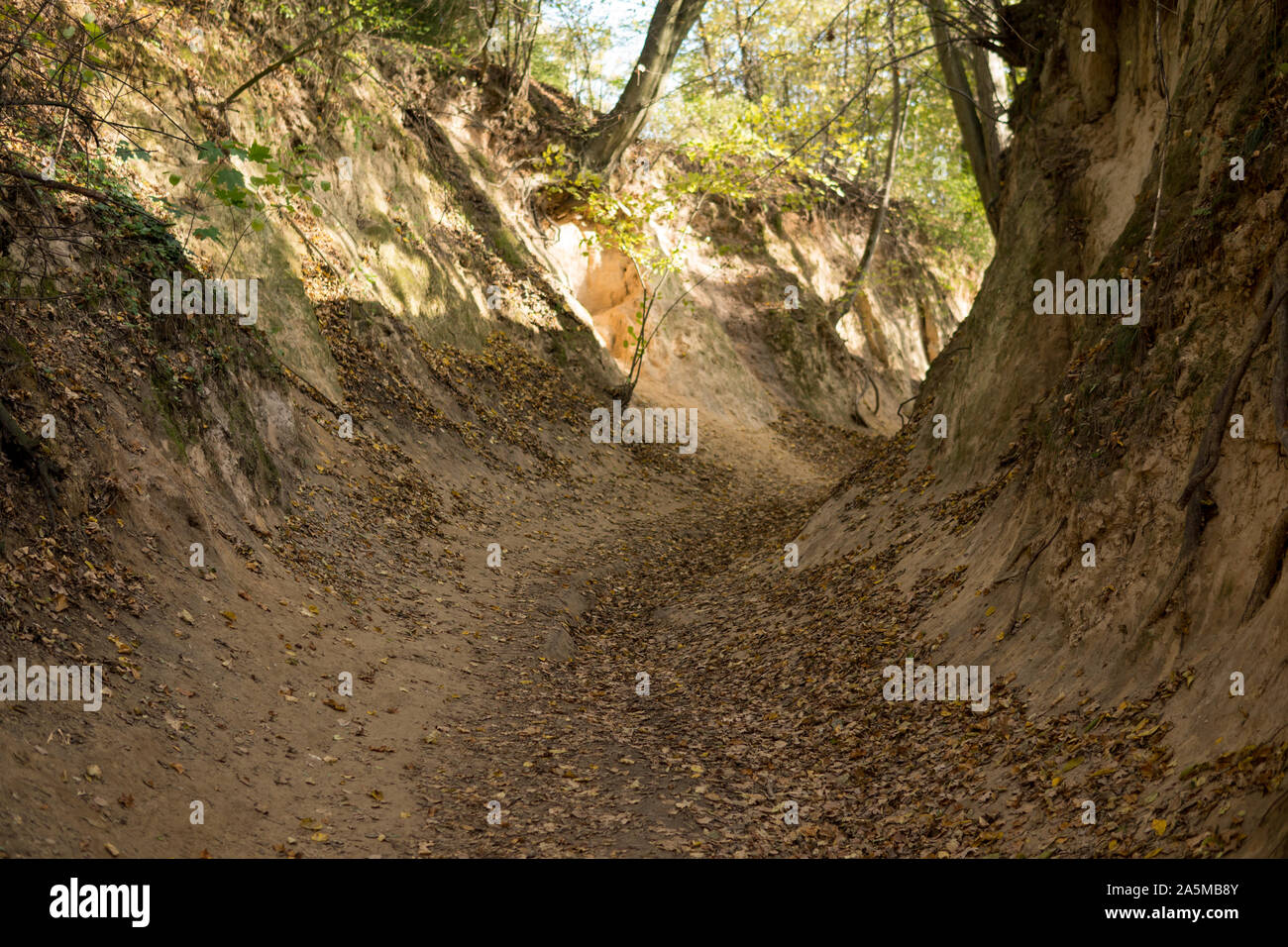 bottom of a most famous gully landform in Kazimierz Dolny called ...